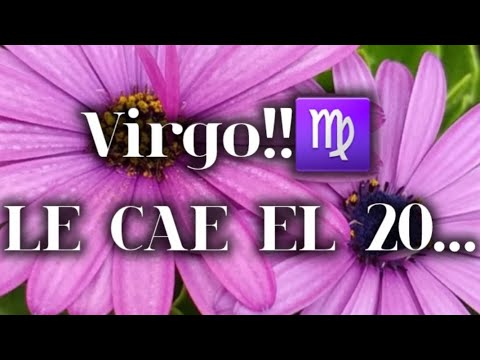 Virgo ♍️ Te estaban PROTEGIENDO | #codigovirgo #tarotexclusivovirgo # ...