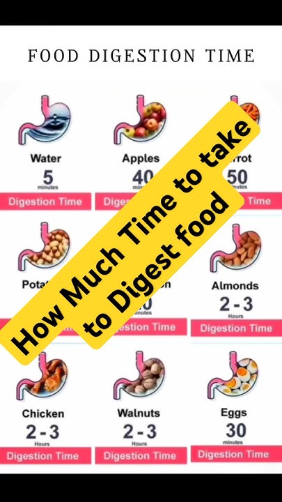 😳How Much Time Requirement Digest food||How Much Time To take digest ...