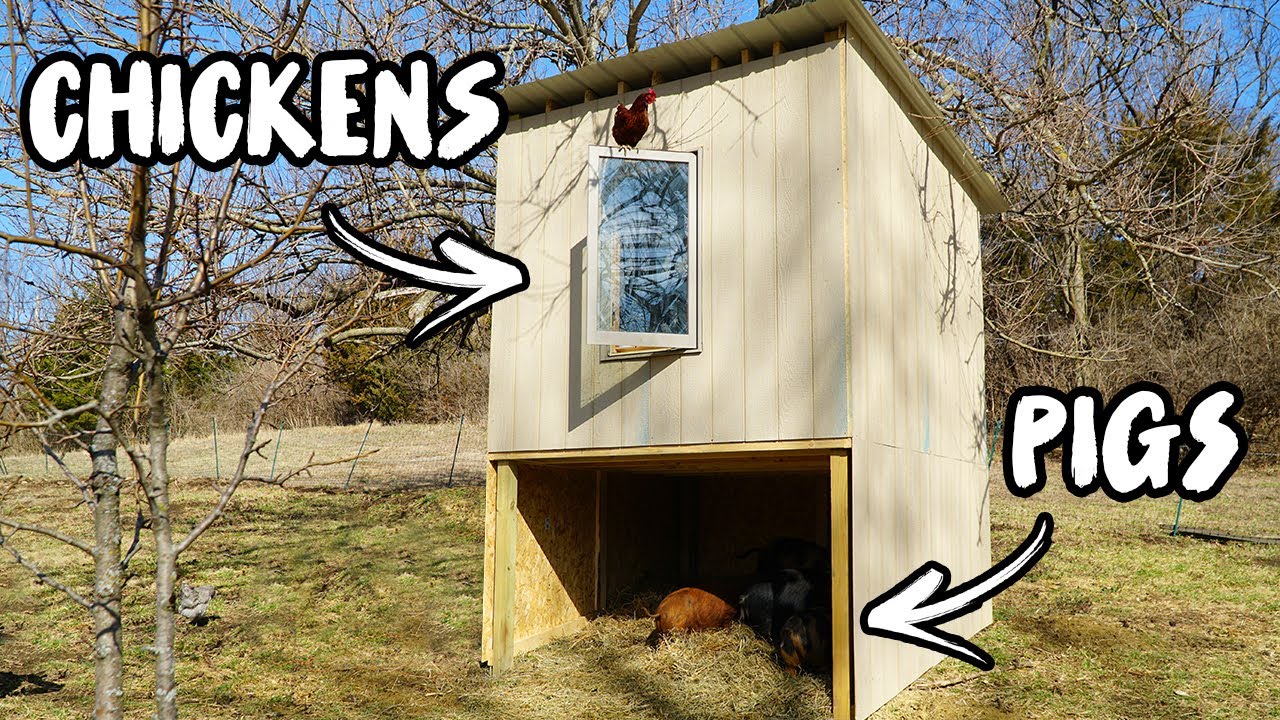 How To Build a TWO STORY Chicken Coop and Livestock House - YouTube