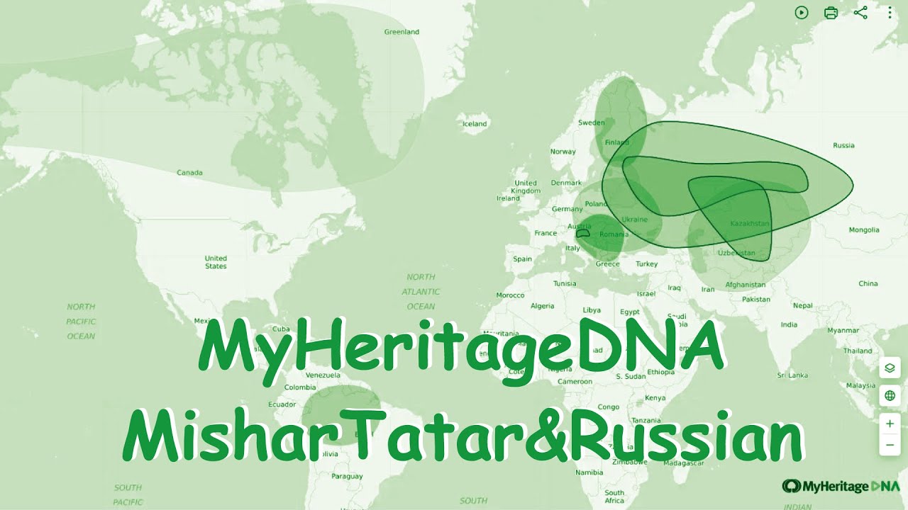 🧬MyHeritage DNA results🧬 Mishar Tatar & West Siberia Russian - YouTube