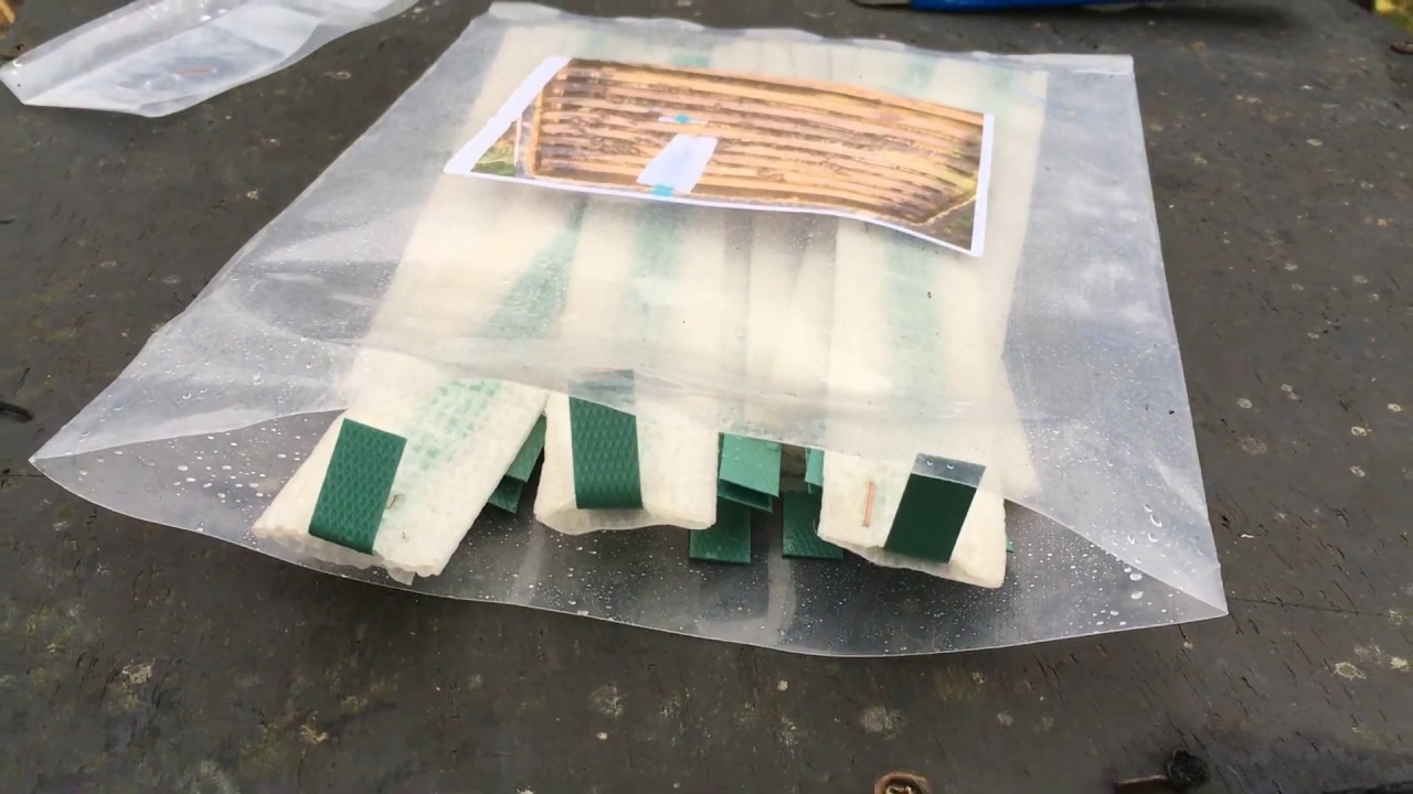 Greenstick video 1 - YouTube