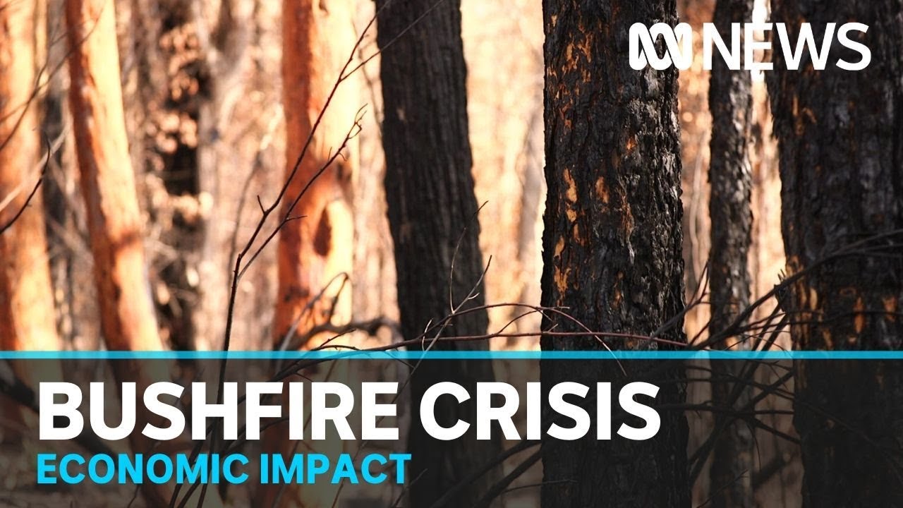 Reserve Bank governor sees coronavirus and bushfires as short-term ...