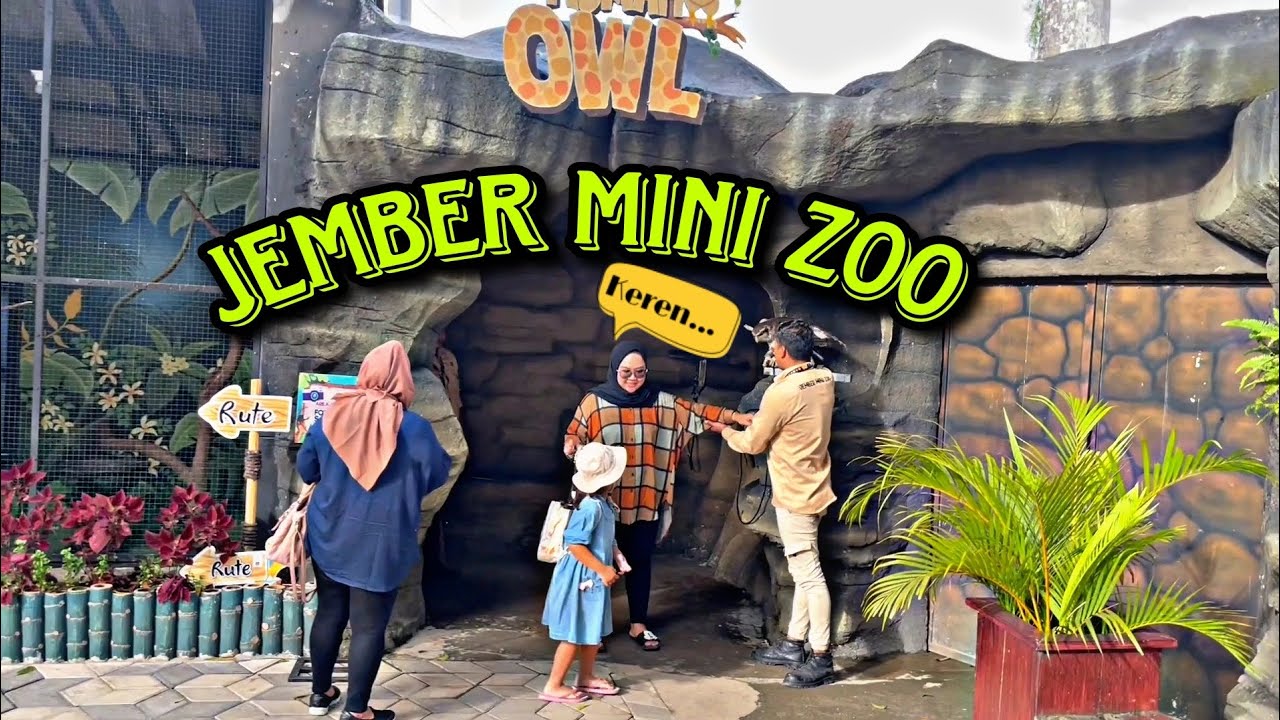 Jember Mini Zoo - Wisata Dan Edukasi - YouTube