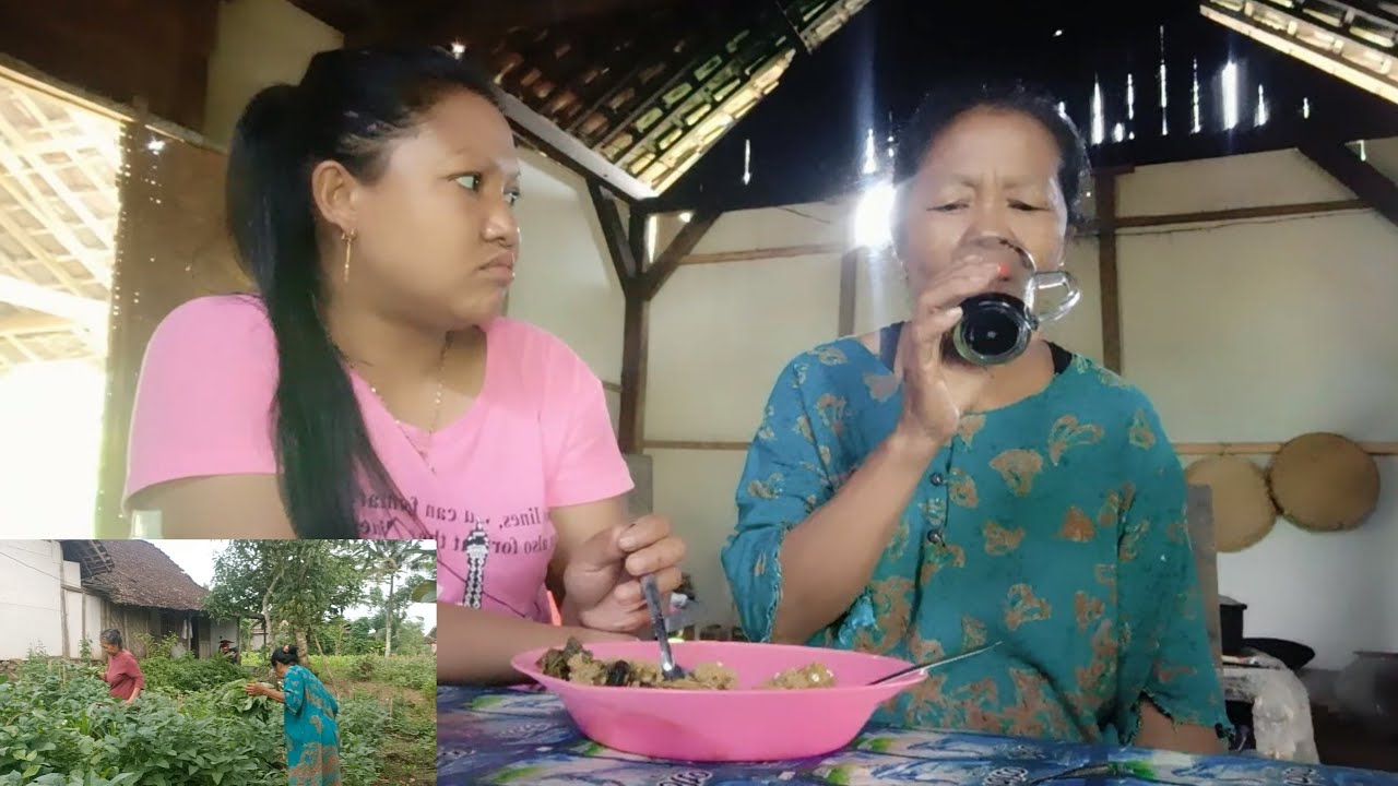 mencari sayur di kebun sendiri,sarapan nasi tiwol sayur blendrang lauk ...