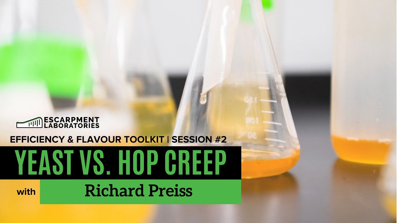 Yeast vs. Hop Creep | Efficiency & Flavour Toolkit Series - YouTube