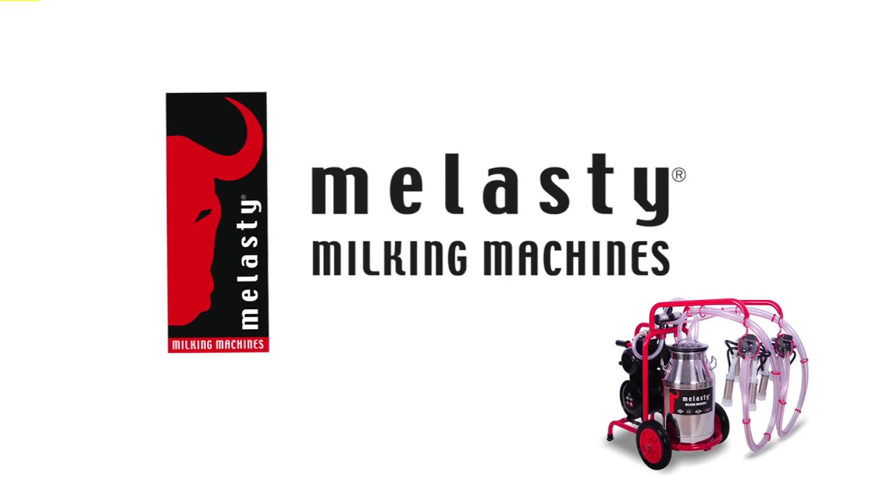My Name is "Melasty" - MELASTY® - YouTube