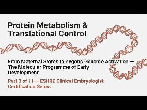 Part 1.2.3:  Protein Metabolism & Translational Control