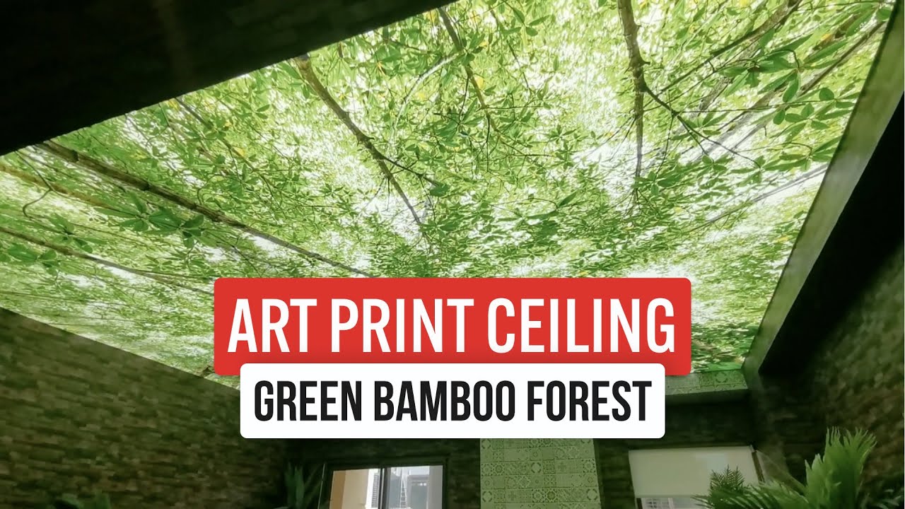 Grass Ceiling Design | Americanwarmoms.org