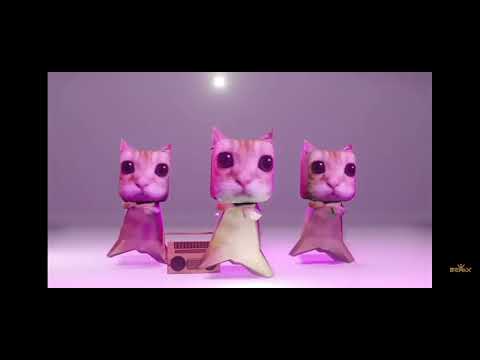Chipi chipi chapa chapa rubi rubi raba raba
