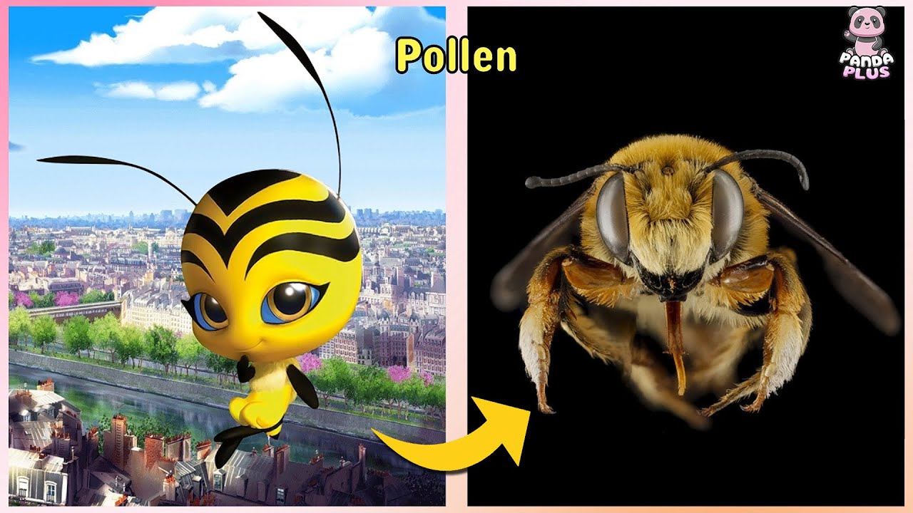 Miraculous Kwamis Characters In Real Life - YouTube