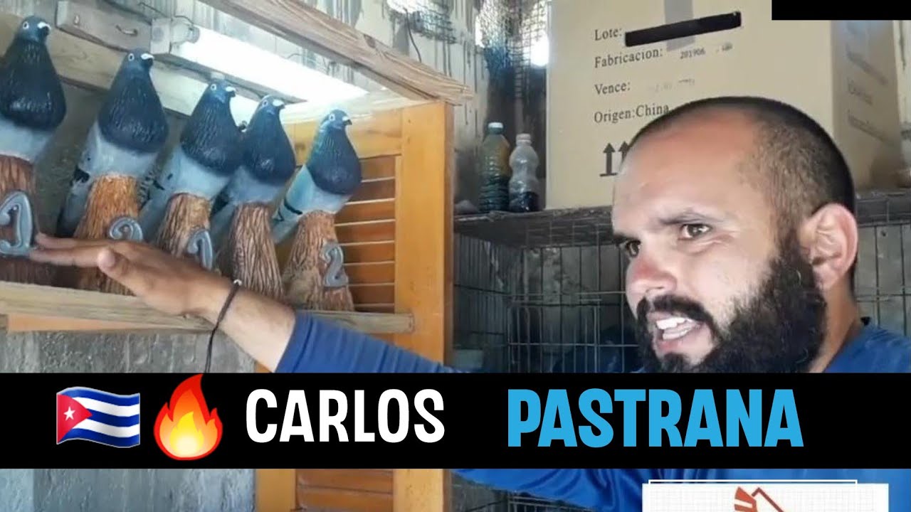 Palomeros Cubanos 🇨🇺 Visitando a Carlos Pastrana de Matanzas 📽 ...