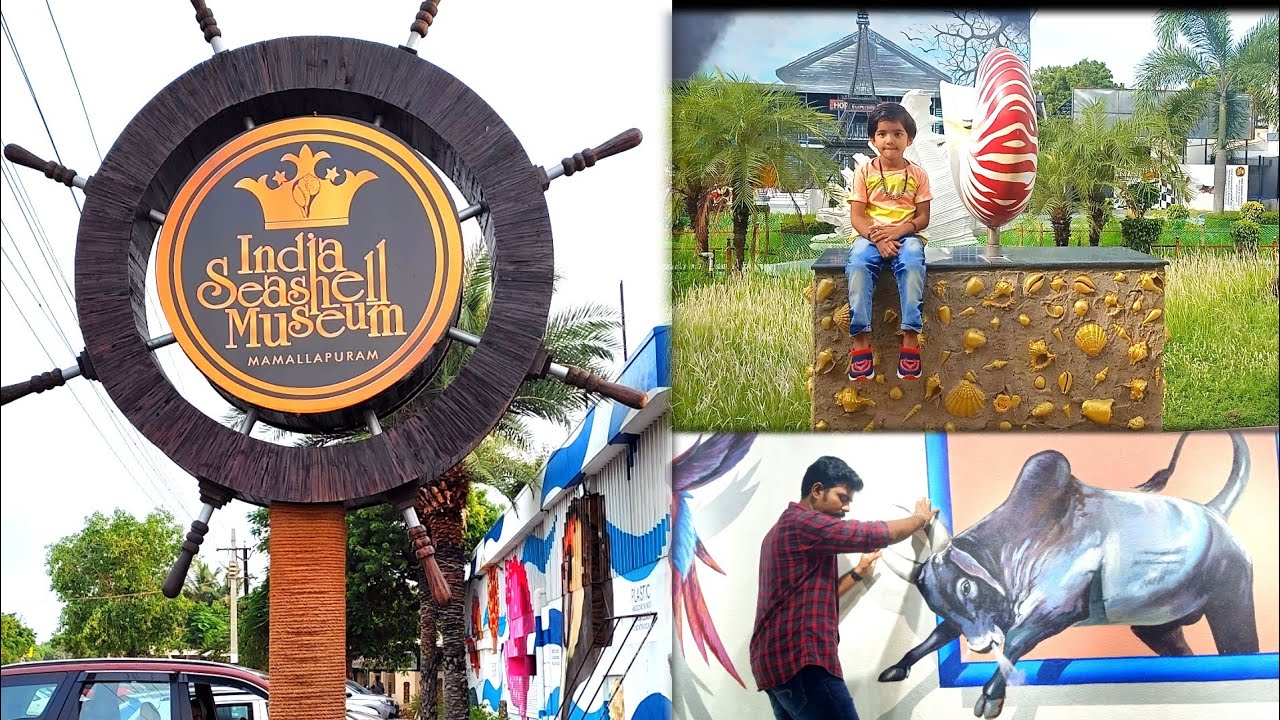 Vlog#2 - India seashell museum mahabalipuram |The largest seashell ...