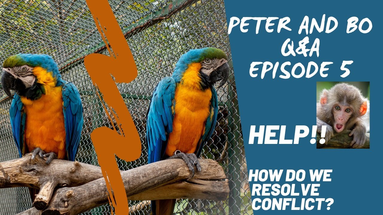 Q&A Episode 5 How Do We Resolve Conflict? - YouTube