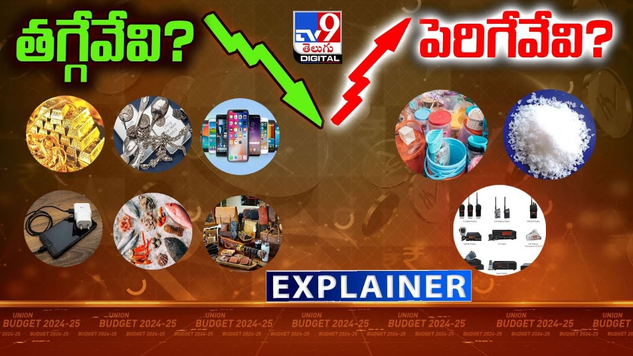 Explainer: తగ్గేవేవి? పెరిగేవేవి? | Budget 2024 - TV9 - YouTube