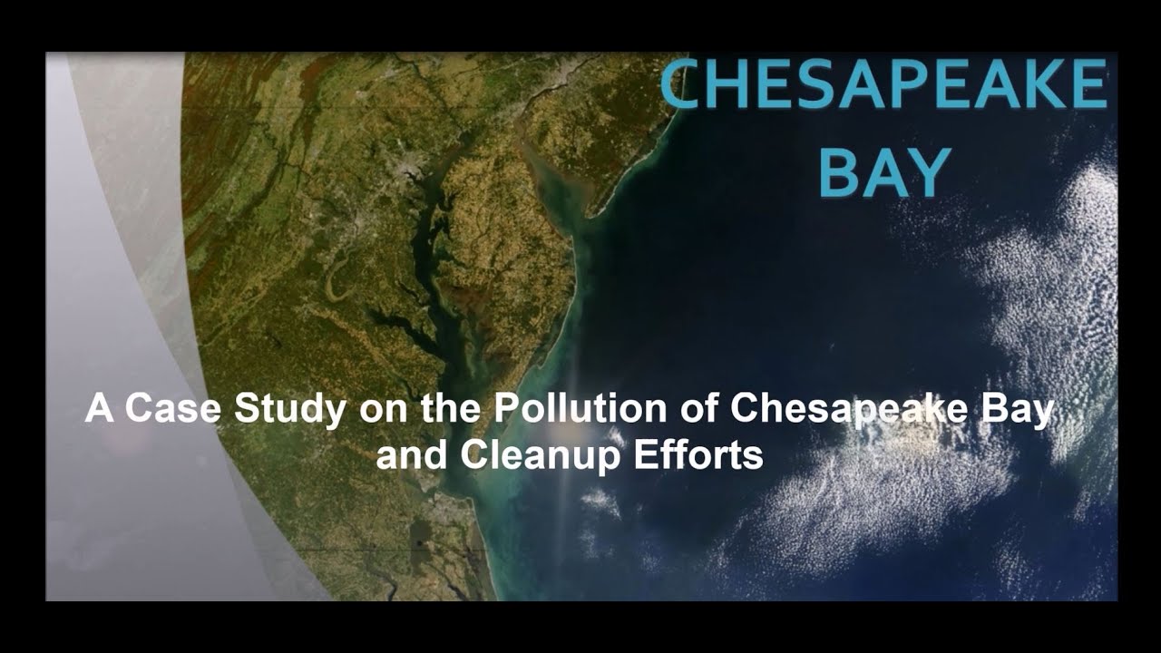 Chesapeake Bay Video Project ABE 199 - YouTube