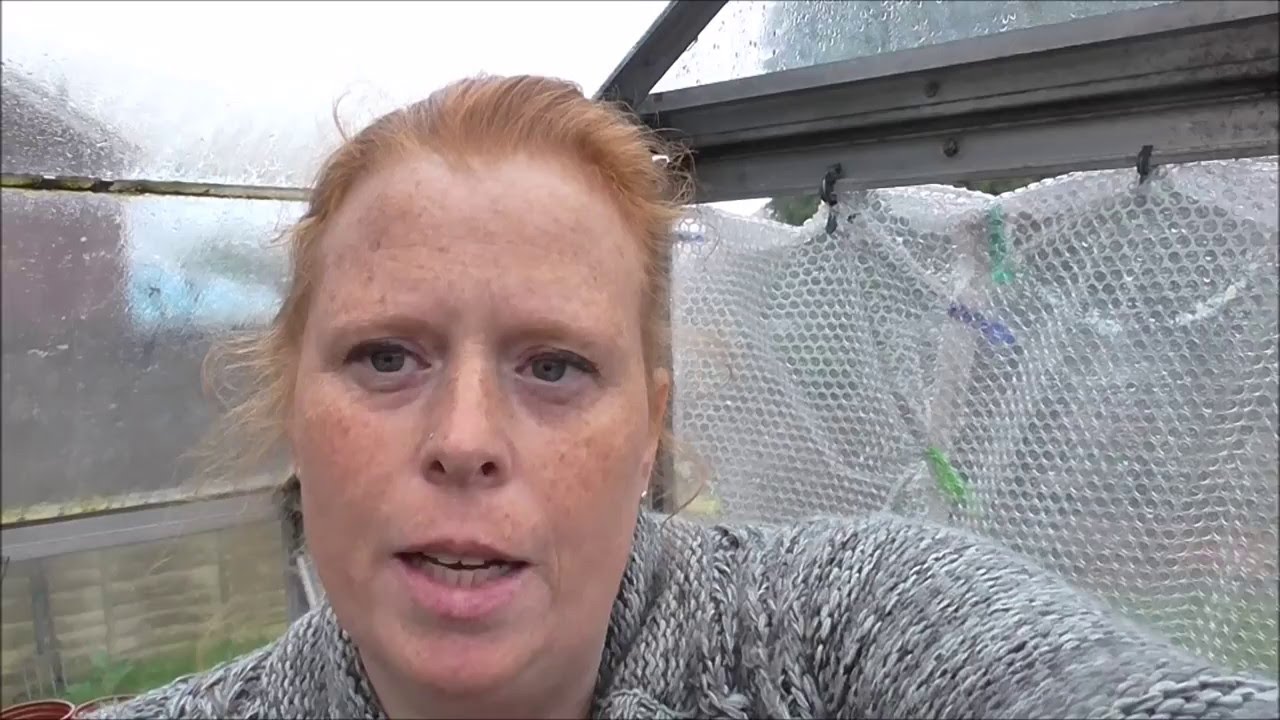 Ginger Gardening S1 E11 02 05 16 - YouTube