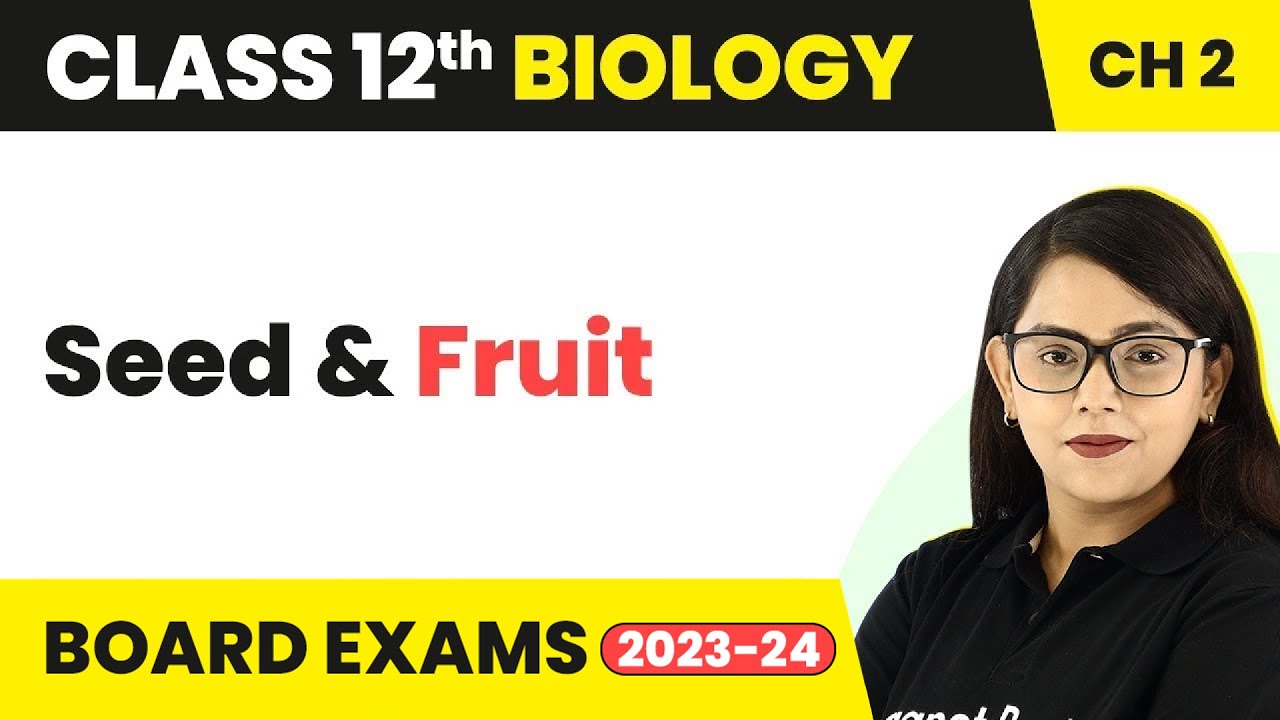 Class 12 Biology Chapter 2 | Seed & Fruit- Sexual Reproduction in ...