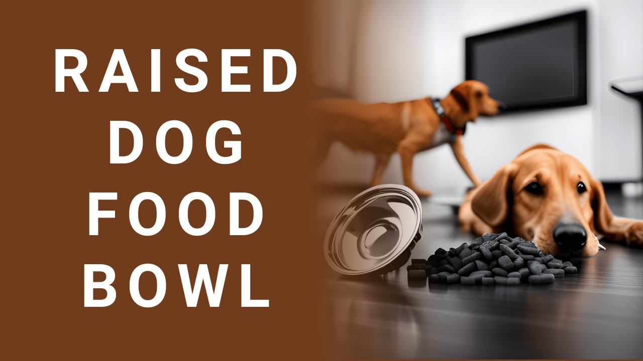 Is Raised Dog Food Worth It? - YouTube