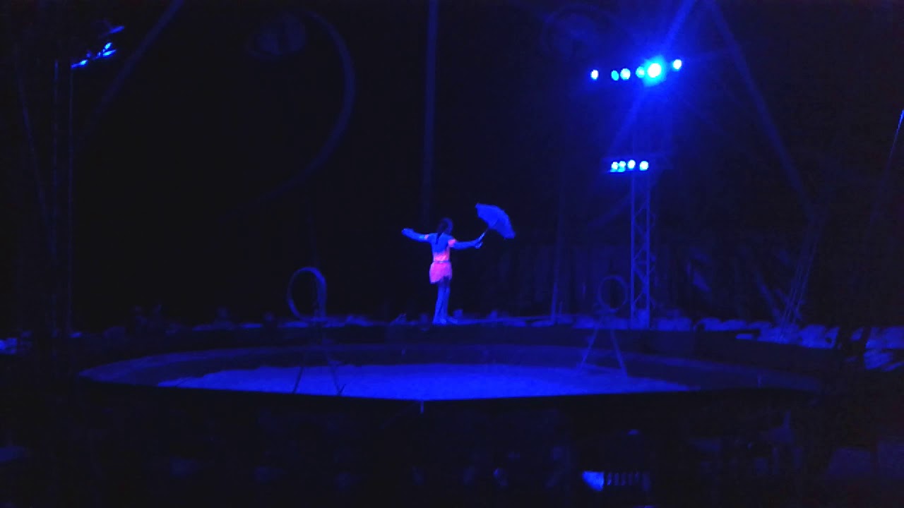 Circus simoneit aron - YouTube