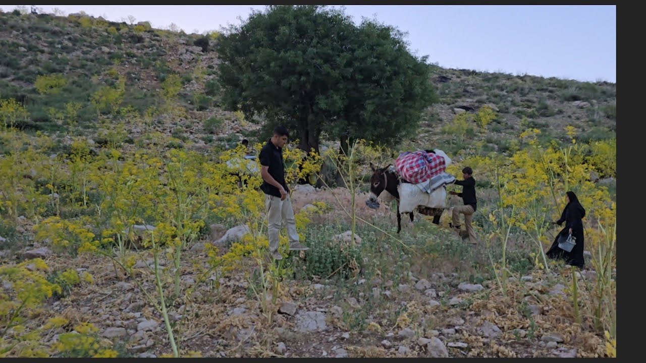 Nomadic lifestyle&documentry | A journey through the mountains and ...