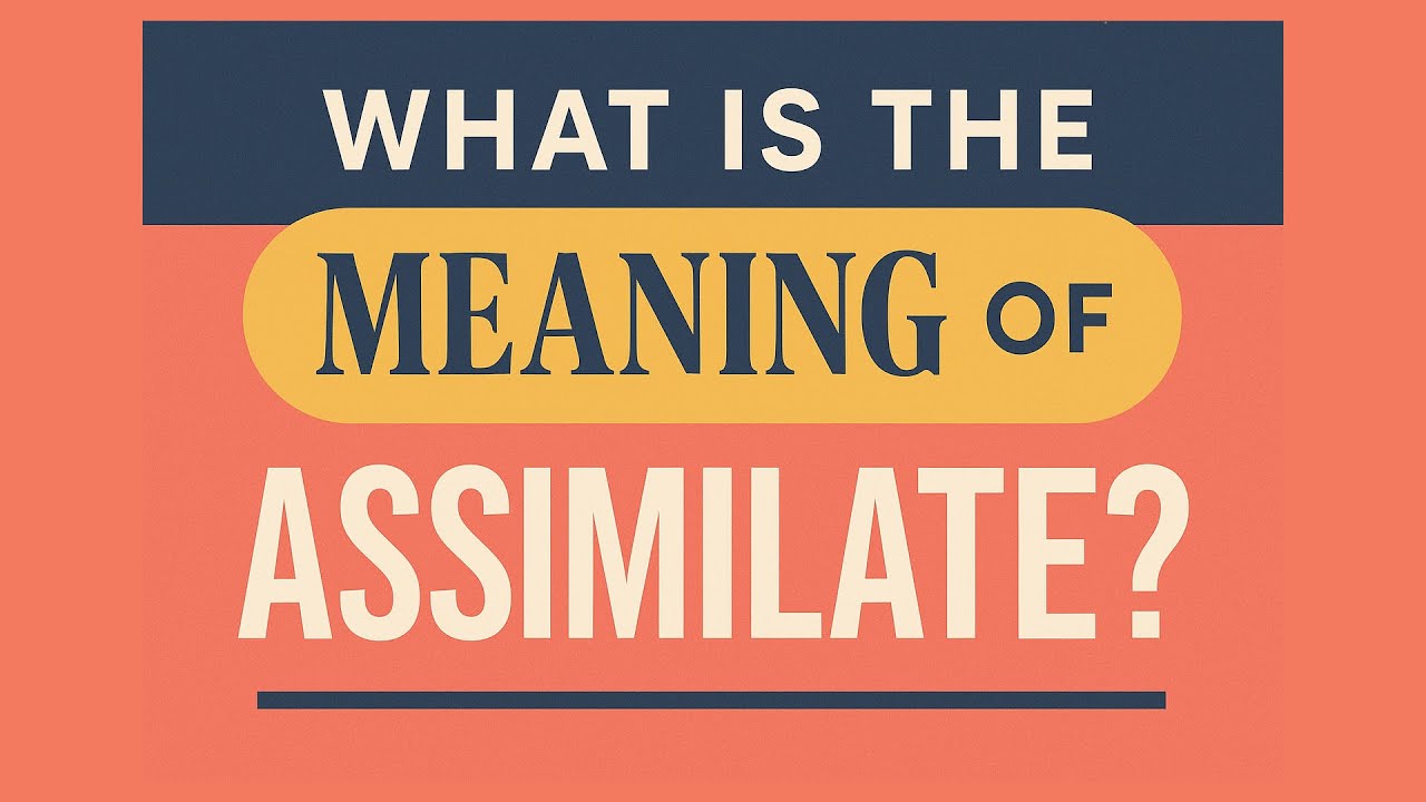 What is the meaning of 'Assimilate'? - YouTube