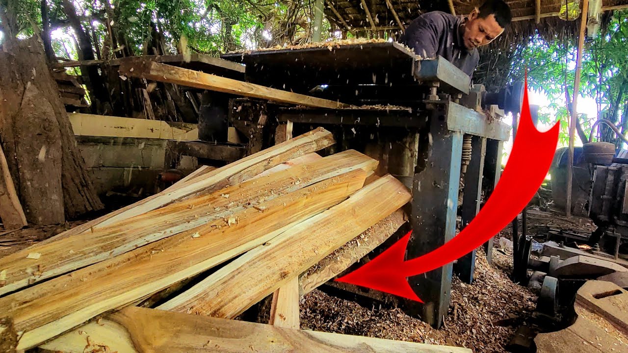 Allof these luxury woods are processed by carpenters.Where these trees have been discarded for ...