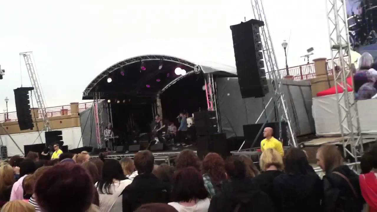 Dive Bella Dive preforming animal - YouTube