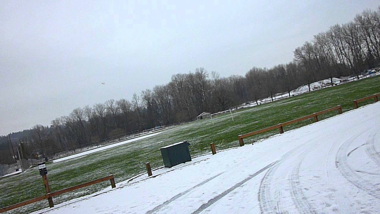 skipper in snow - YouTube