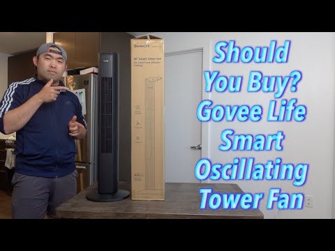 Should You Buy? Govee Life Smart Oscillating Tower Fan - YouTube