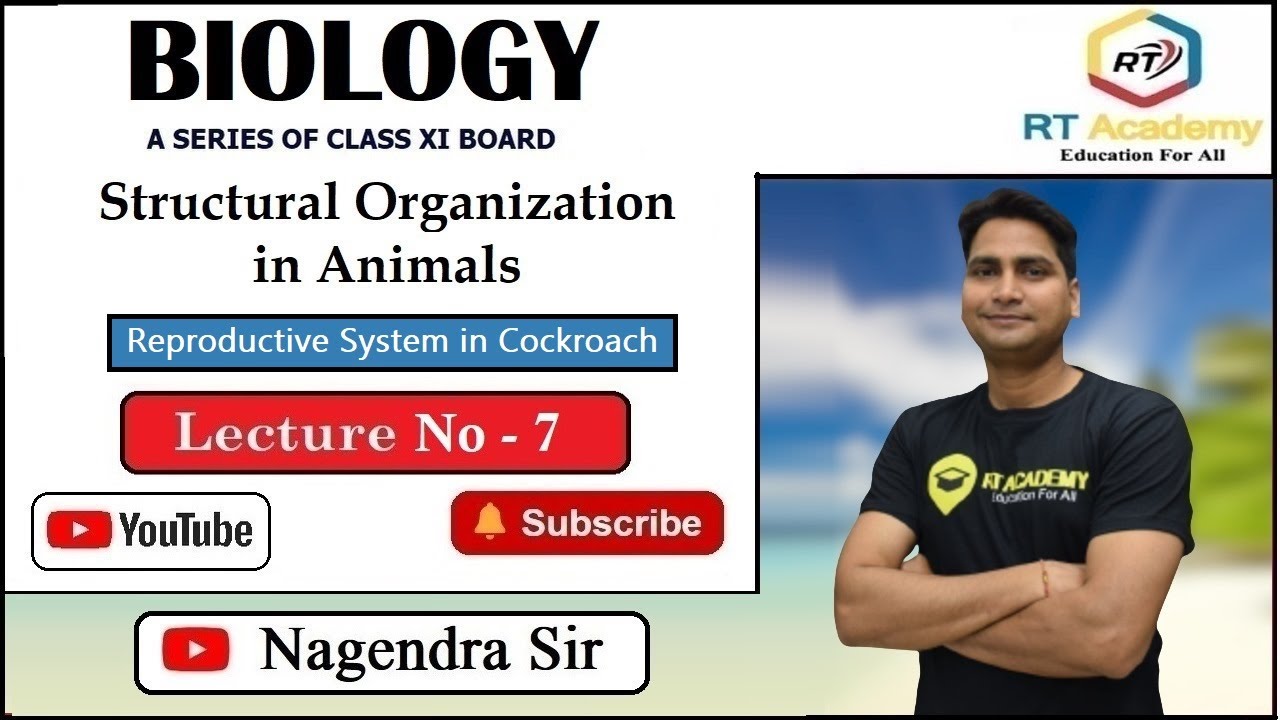 Class 11 | Structural Organization in Animals | Reproductive System in ...