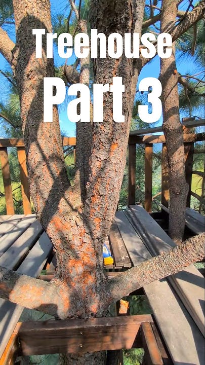 Treehouse Part 3 #treehouse #climbing #building #treehouseadventure ...