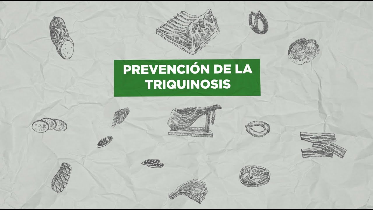 PREVENCIÓN DE LA TRIQUINOSIS - YouTube