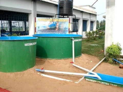 Portable FRP Carp hatchery - YouTube