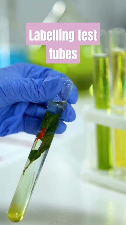 Labelling samples//Labelling test tubes with marker#asapscience #crash ...