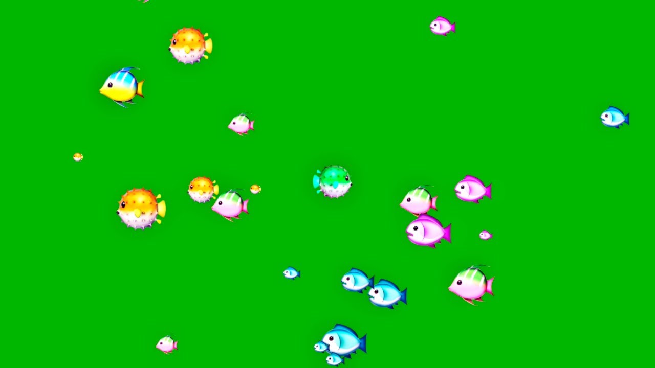 Fish Green Screen Effects - YouTube