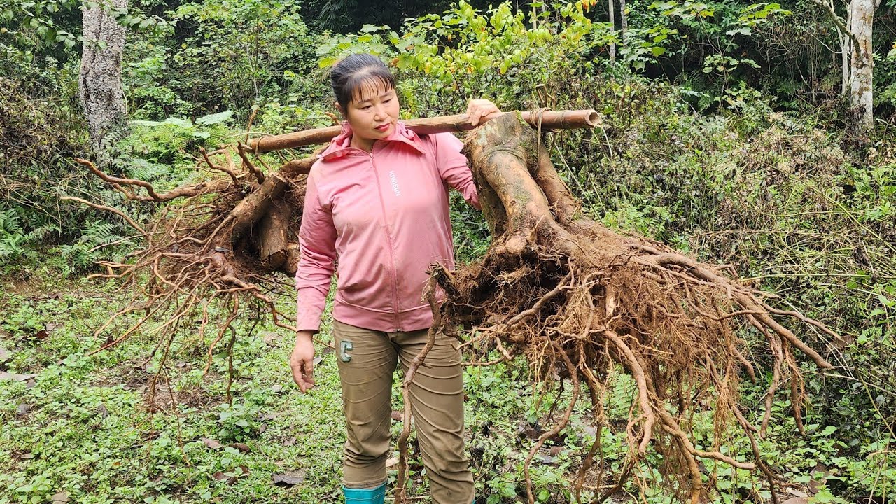 How this girl makes money and maintains her life alone in the forest ...