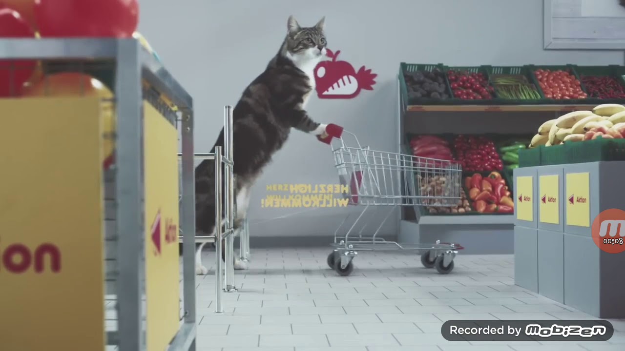 Pub de chat a mourire de rire - YouTube