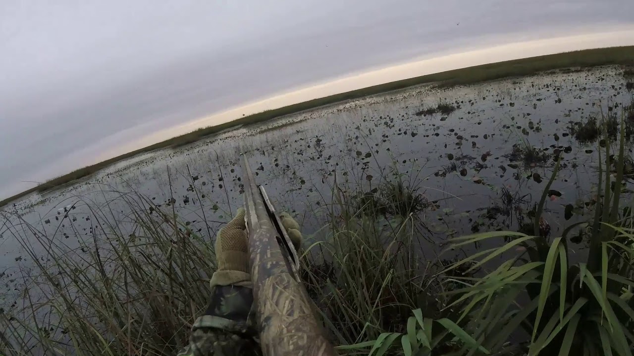 A weekend Duck hunting in the Everglades - YouTube