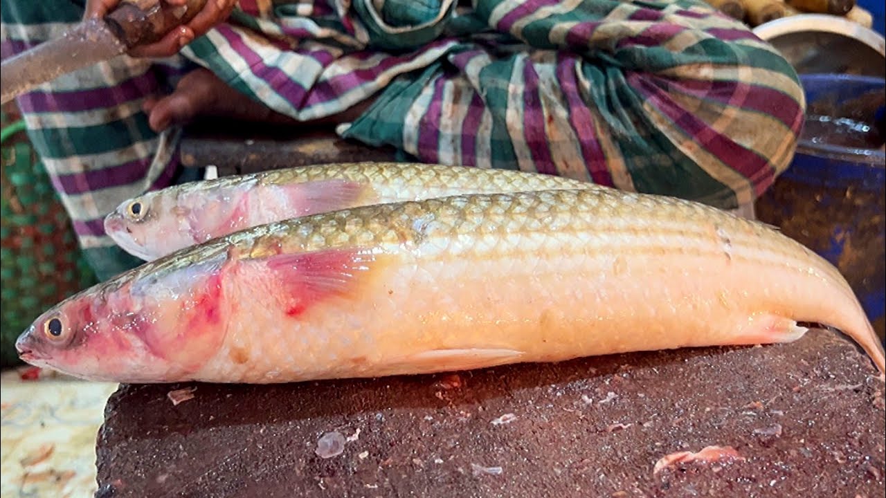 Super Testy & Big Popular Batta & Prawns Cutting In Fish Market | Fish ...