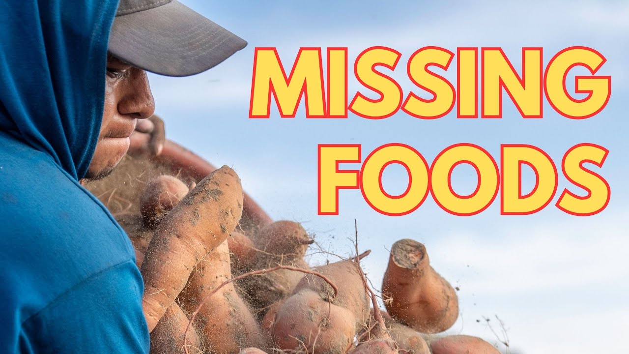 Poverty Diet May Be the Key to a Healthier Global North: What Do You ...
