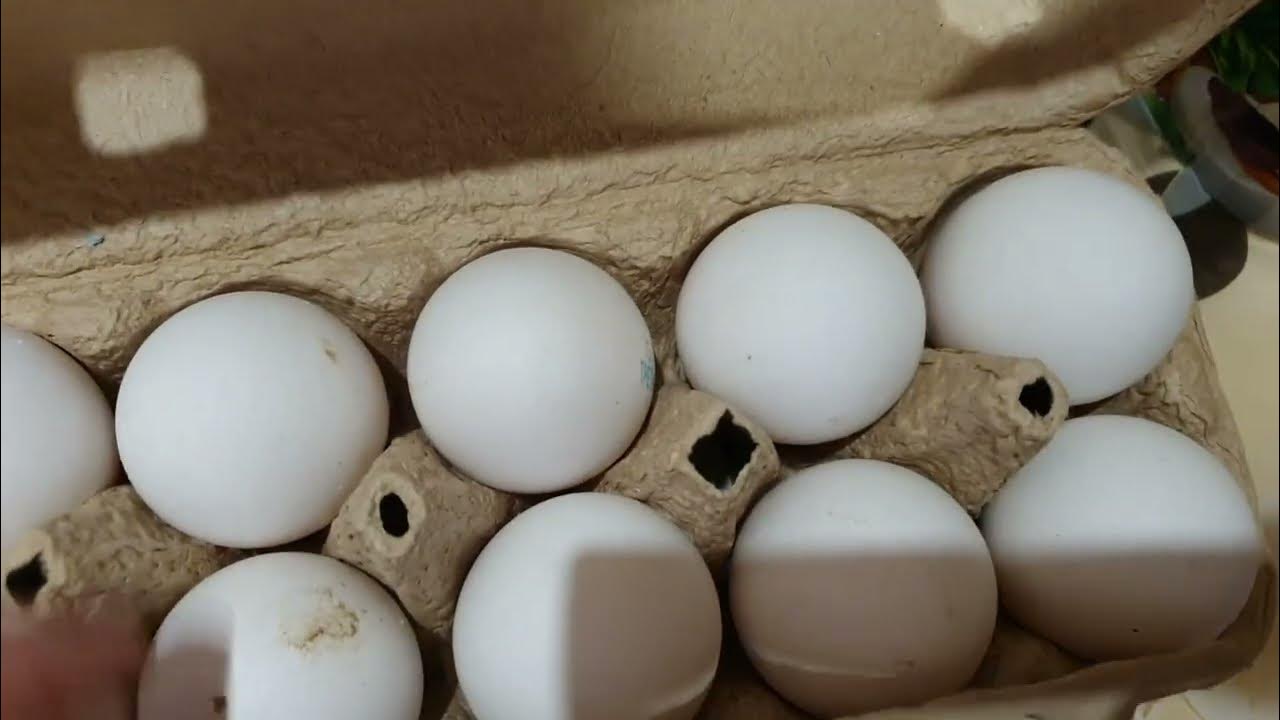 Яйца в "Пятерочке"/акции,цены,скидки - YouTube