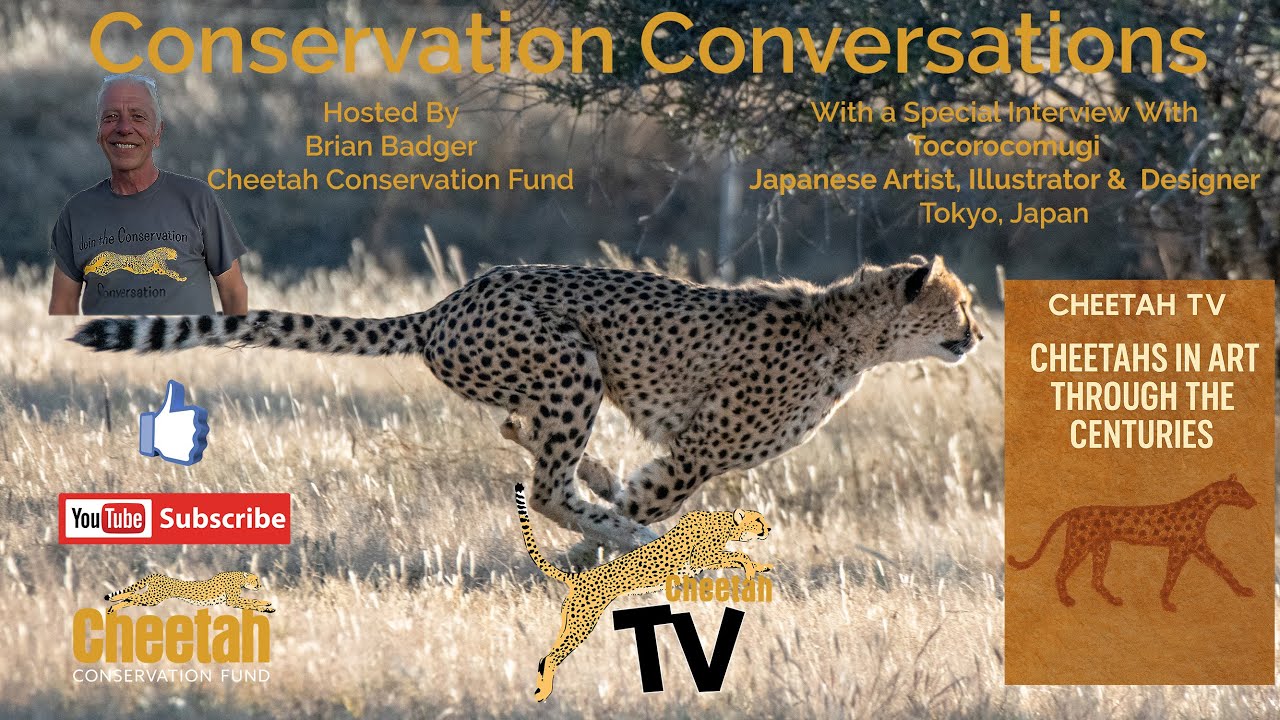 Cheetahs in Art Through the Centuries | Cheetah TV with Brian Badger ...