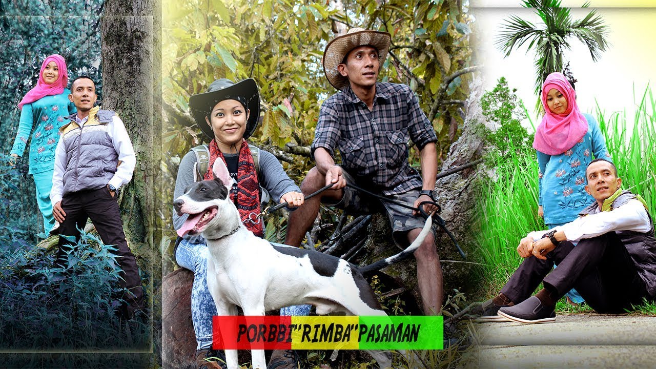 WEDDING Rifza Putra & Fitria Sarianti - YouTube