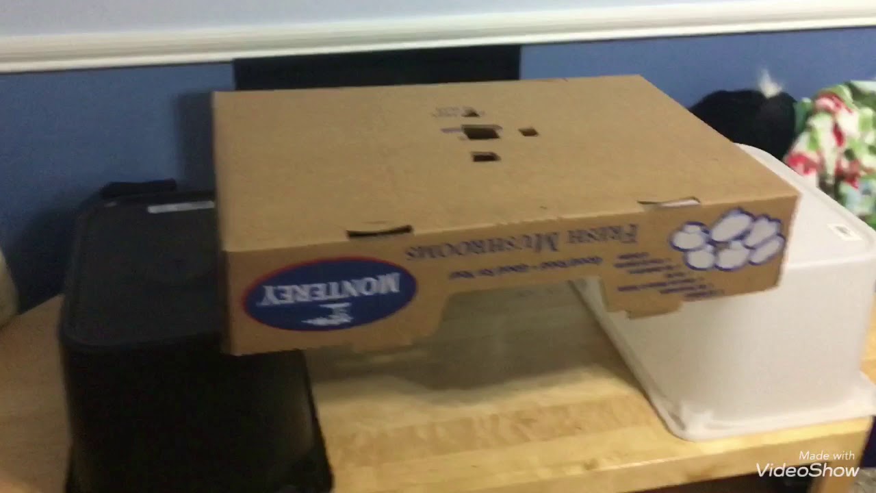 Easy DIY camera stand - YouTube