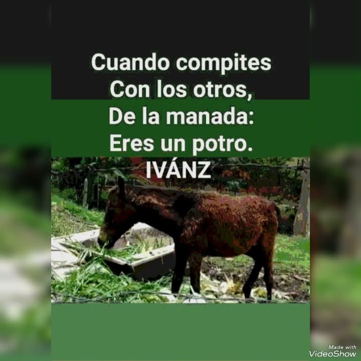 SÉ TÚ. IVANZ DE COLOMBIA - YouTube