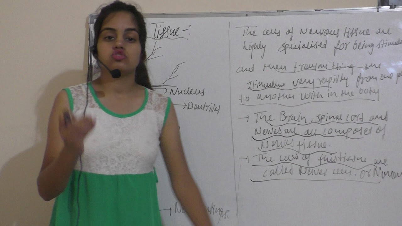 NERVOUS TISSUE Class 9 BIO NCERT YouTube nervous-tissue-class-9-bio-ncert-youtube