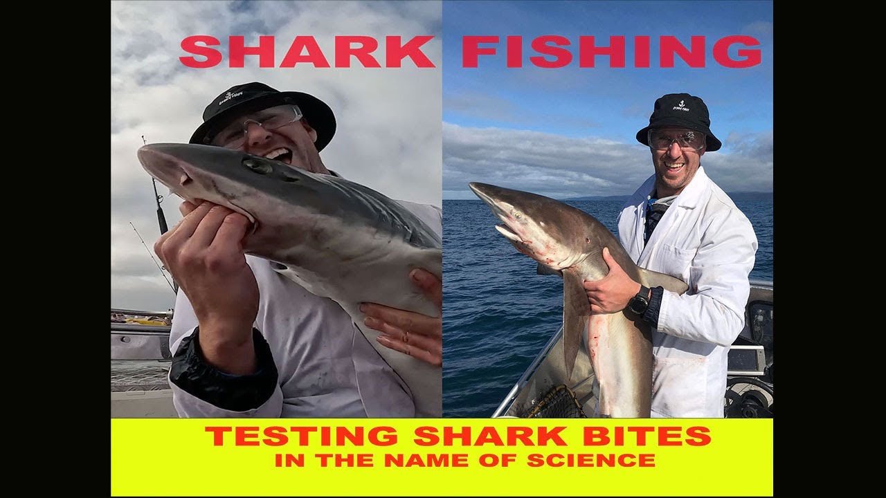 When you wear a LAB COAT while SHARK Fishing then let a shark bite you ...