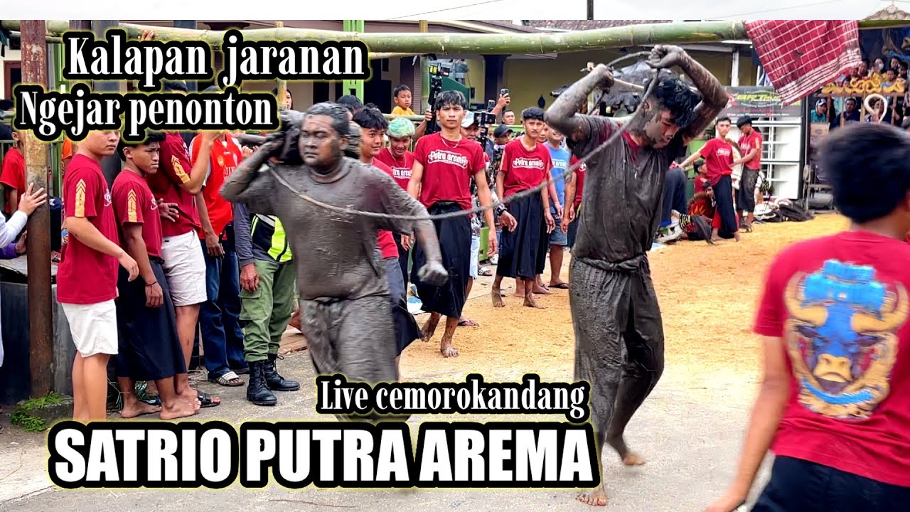 SERU!! Ngejar penoton ngamuk || SATRIO PUTRA AREMA jaranan mode kalap ...