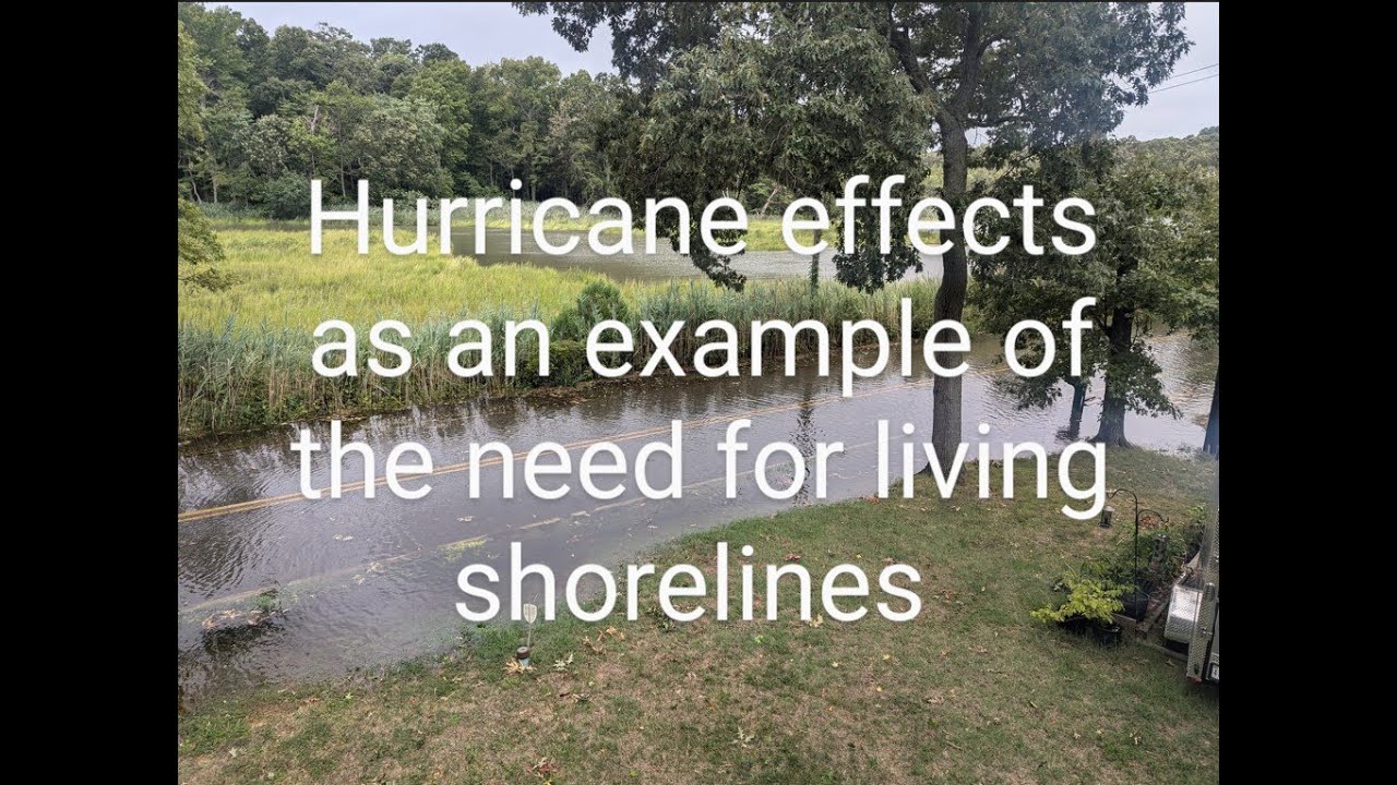 hurricane effects as a demonstration of need for living shorelines ...