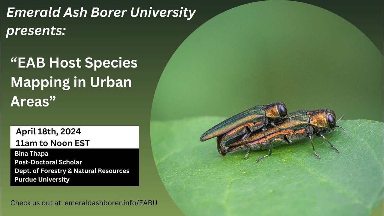 EAB Host Species Mapping in Urban Areas - YouTube